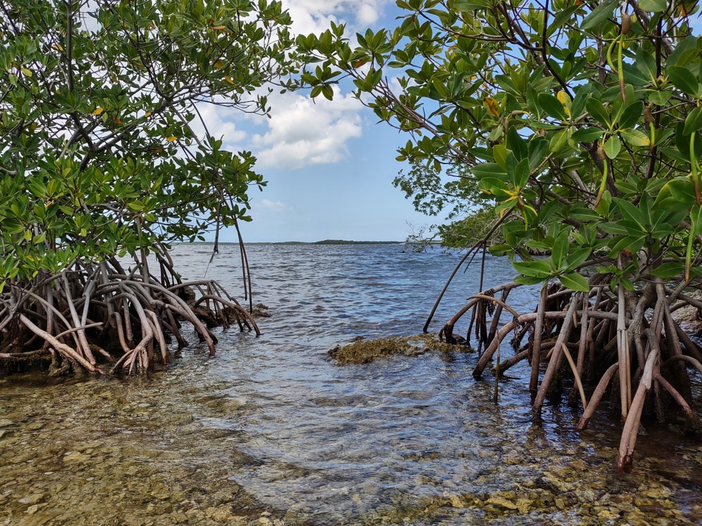 State Parks in the Florida Keys